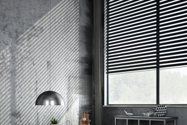 Duo Blinds – The Blinds Store